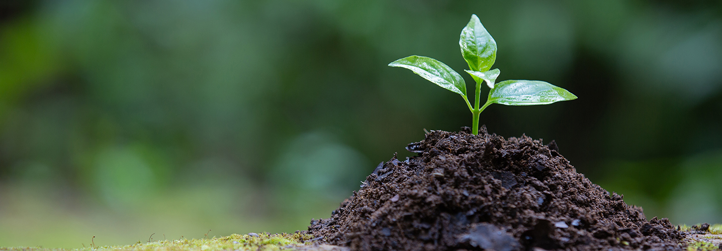 GLOBAL ENVIRO LABORATORIES JOIN HANDS TO SAVE ENVIRONMENT